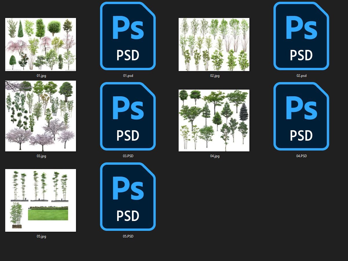 83 Real Tree Overlays, Tree Clipart, for Photoshop/illustrator Render ...