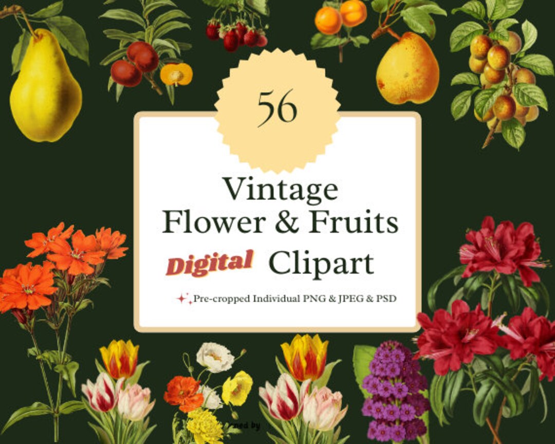 Vintage Fruits and Flowers Clipart Floral Botanical Illustration ...