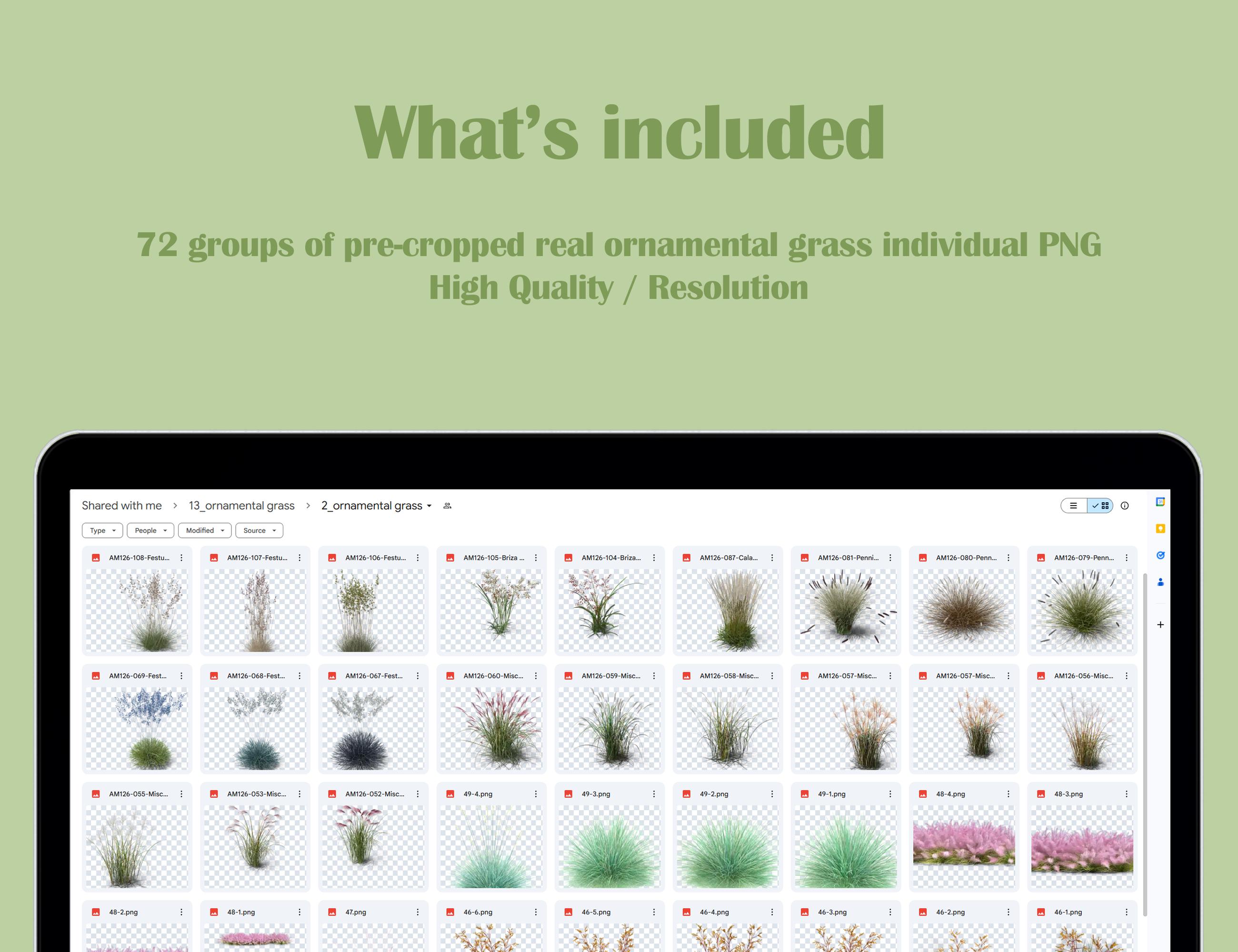 72 Real Ornamental Grass Overlays High-resolution PNG Digital Instant ...