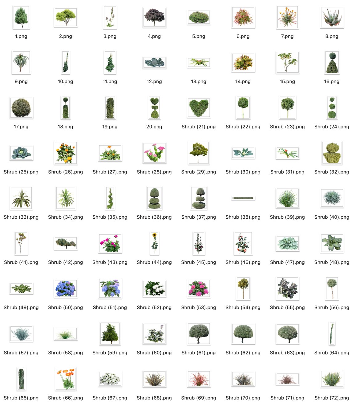 100 Assorted Plant Overlays for Photoshop, Plants, Outdoor Plants ...