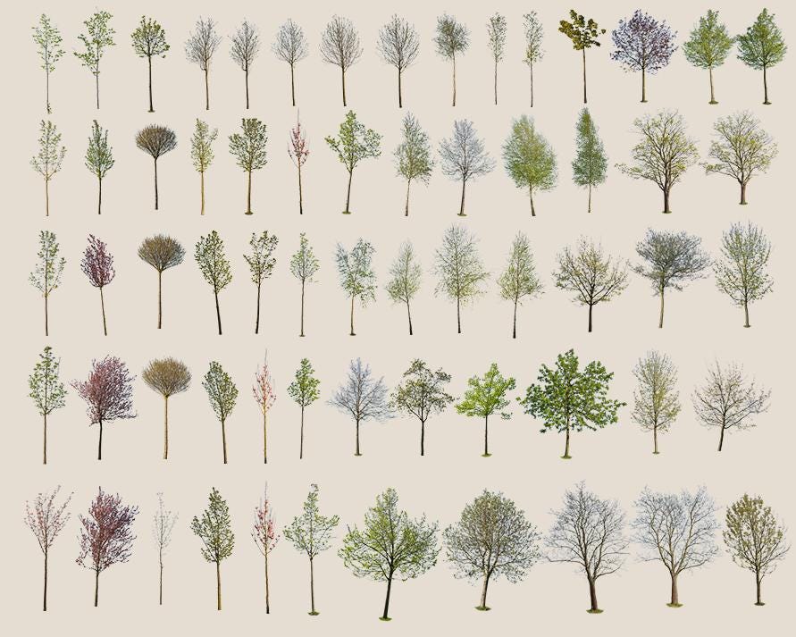 151 Real Early Spring Tree Overlays High-resolution PNG Digital Instant ...
