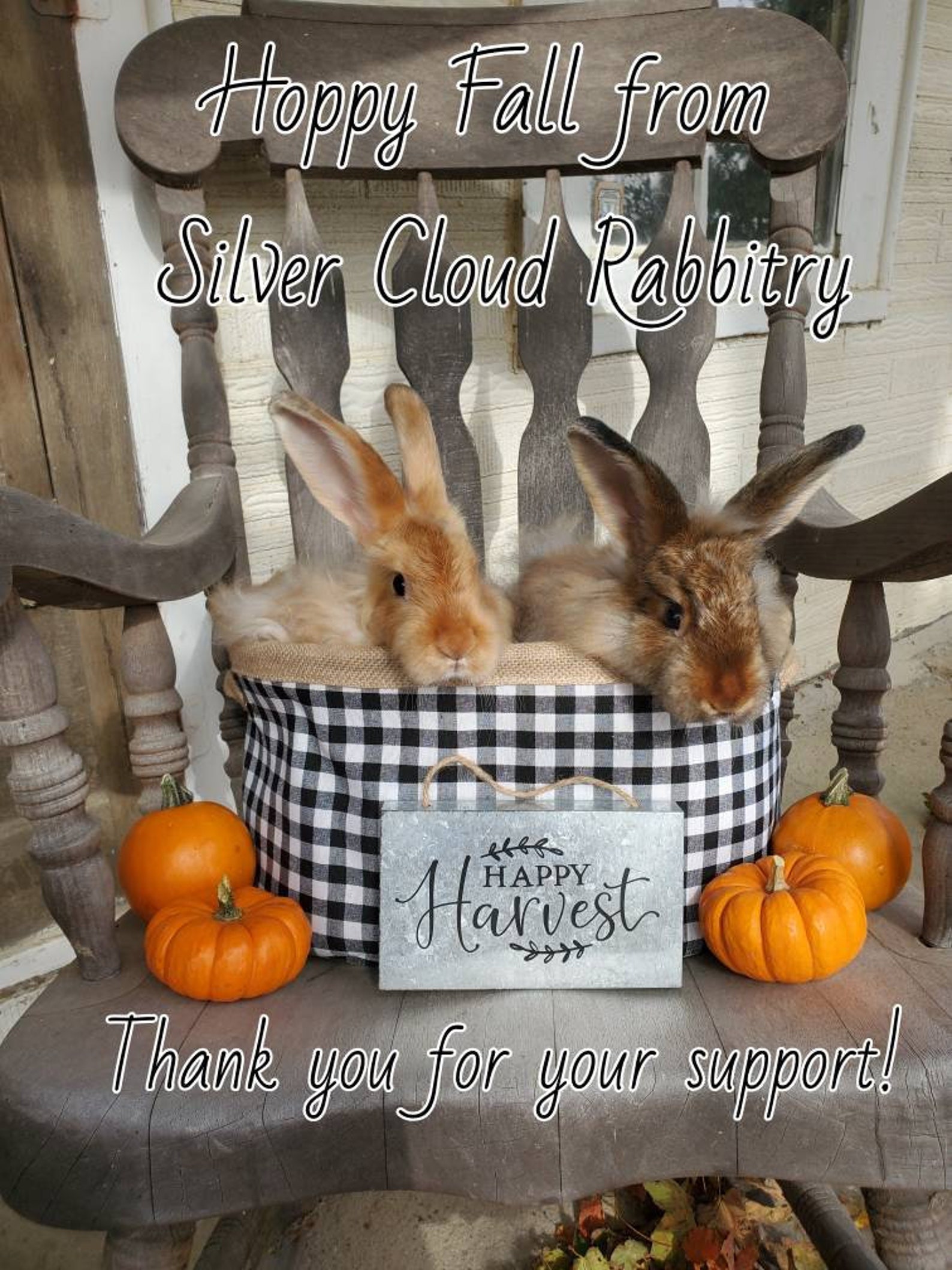 Rabbit Skull and Crossbones Permanent Decal | Etsy