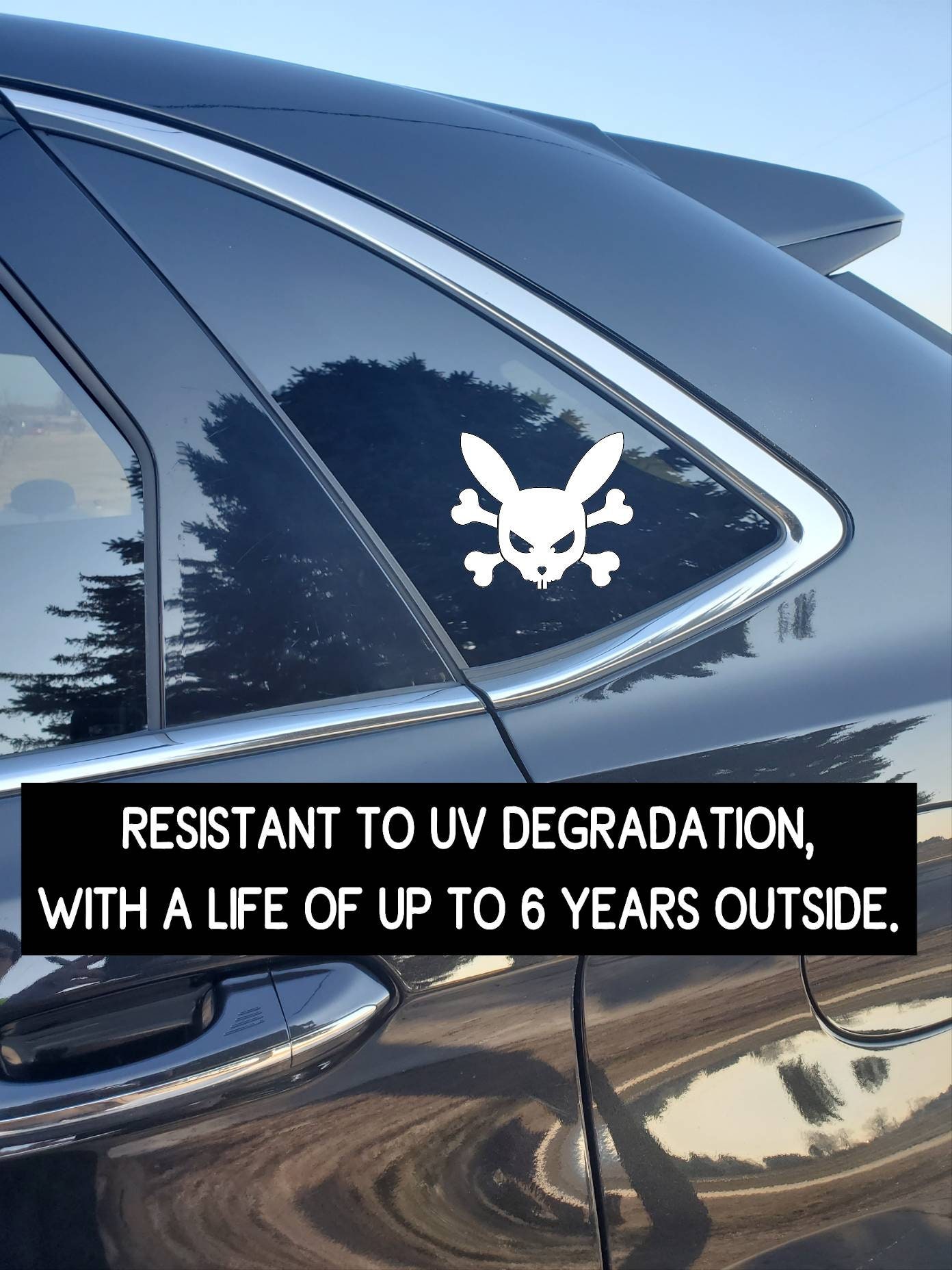 Rabbit Skull and Crossbones Permanent Decal - Etsy