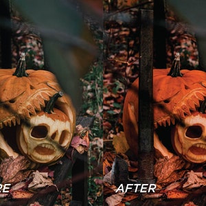 15 Spooky Halloween Mobile Lightroom Presets, Moody Autumn Filters for ...