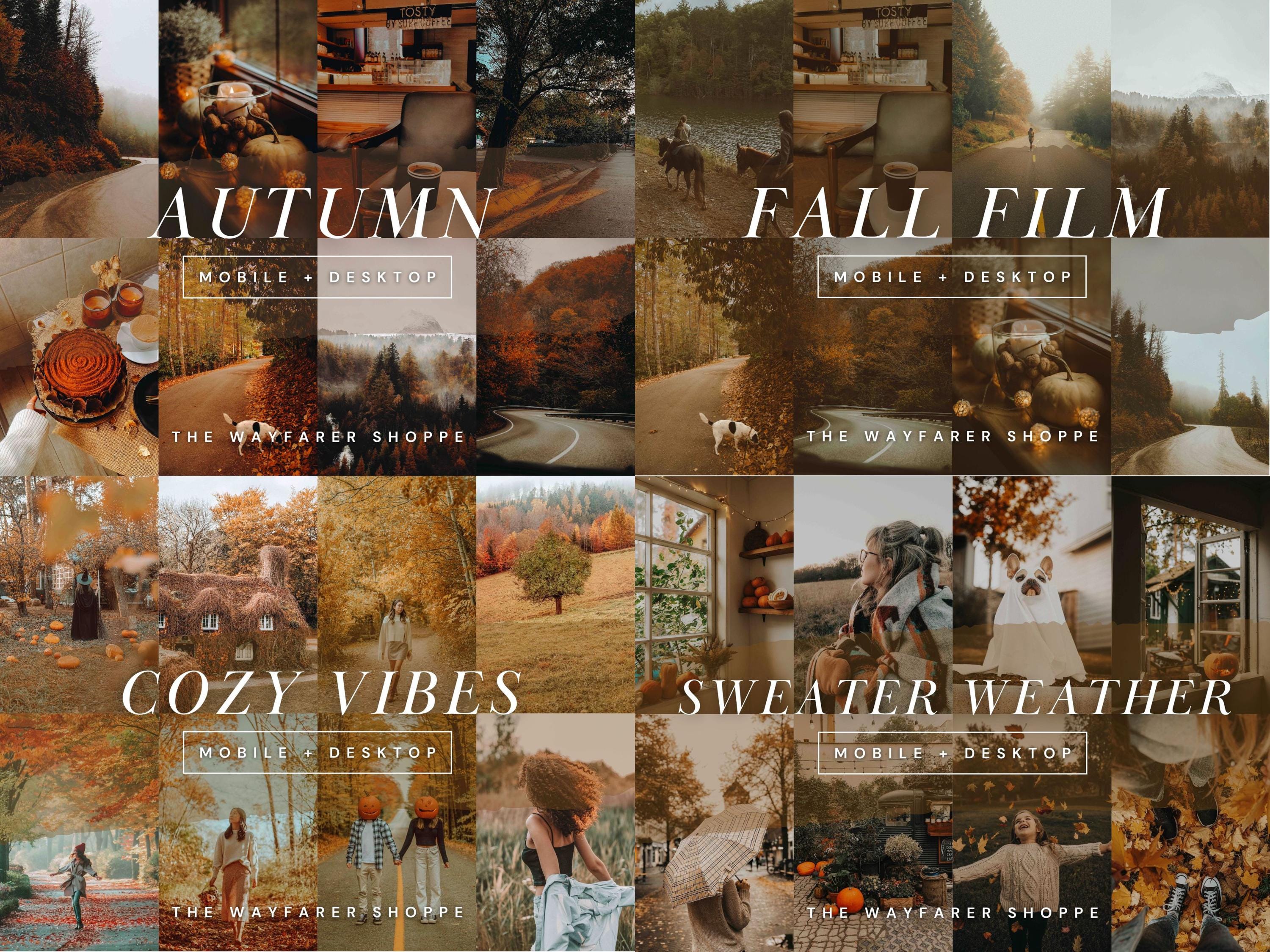 200+ Fall Lightroom Preset Bundle, Warm Autumn Presets Aesthetic Fall ...
