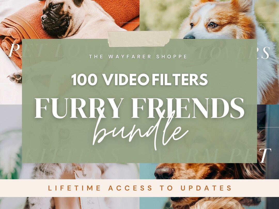 100 Mobile VIDEO Filters, Natural Pet Filters, Vibrant Dog Video ...