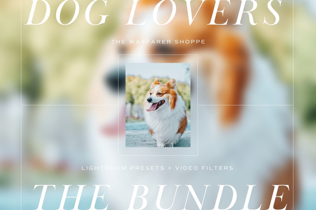 25 Lightroom Presets AND Mobile Video Luts Bundle | Pet Lover Preset ...