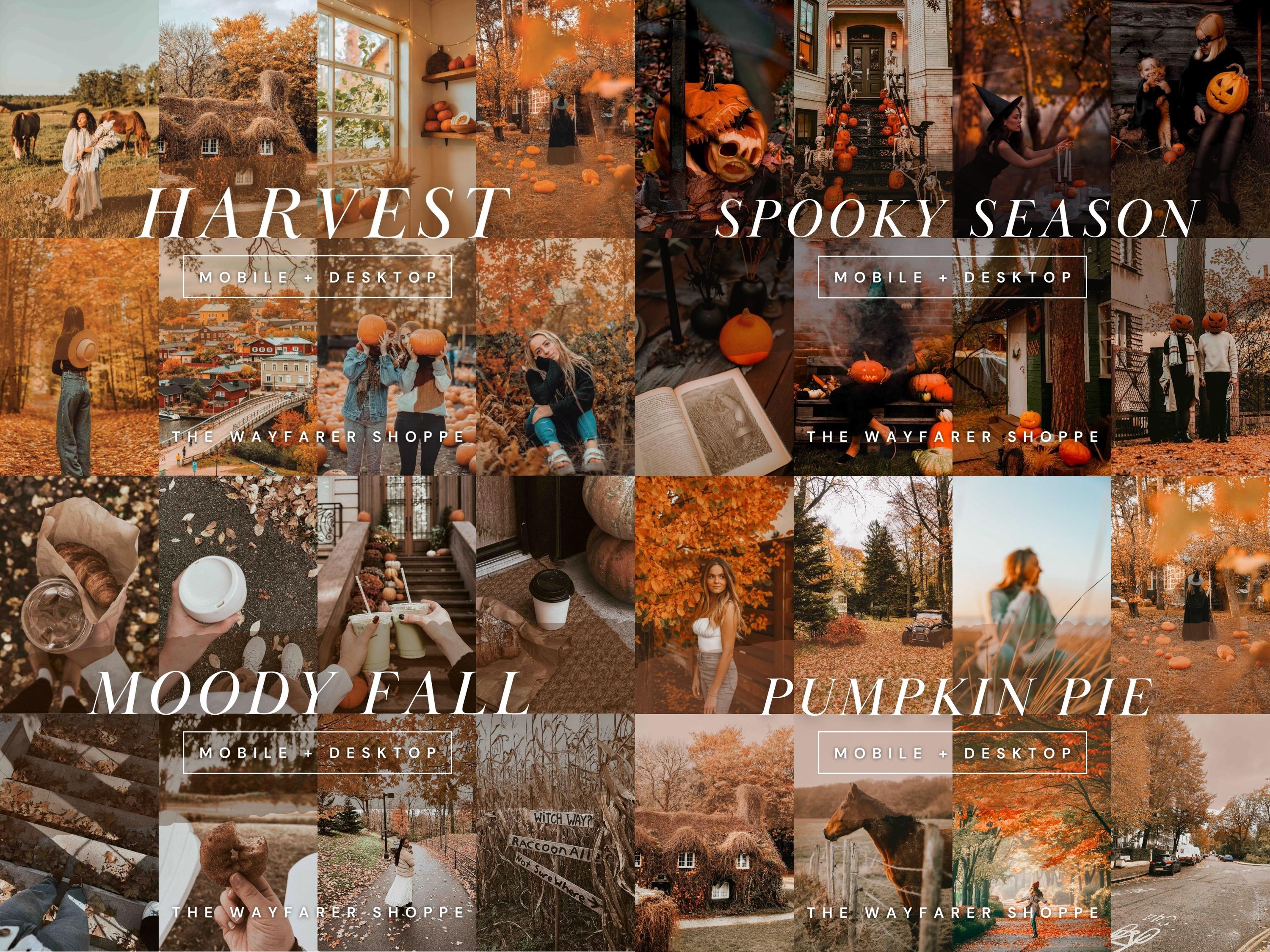 200+ Fall Lightroom Preset Bundle, Warm Autumn Presets Aesthetic Fall ...