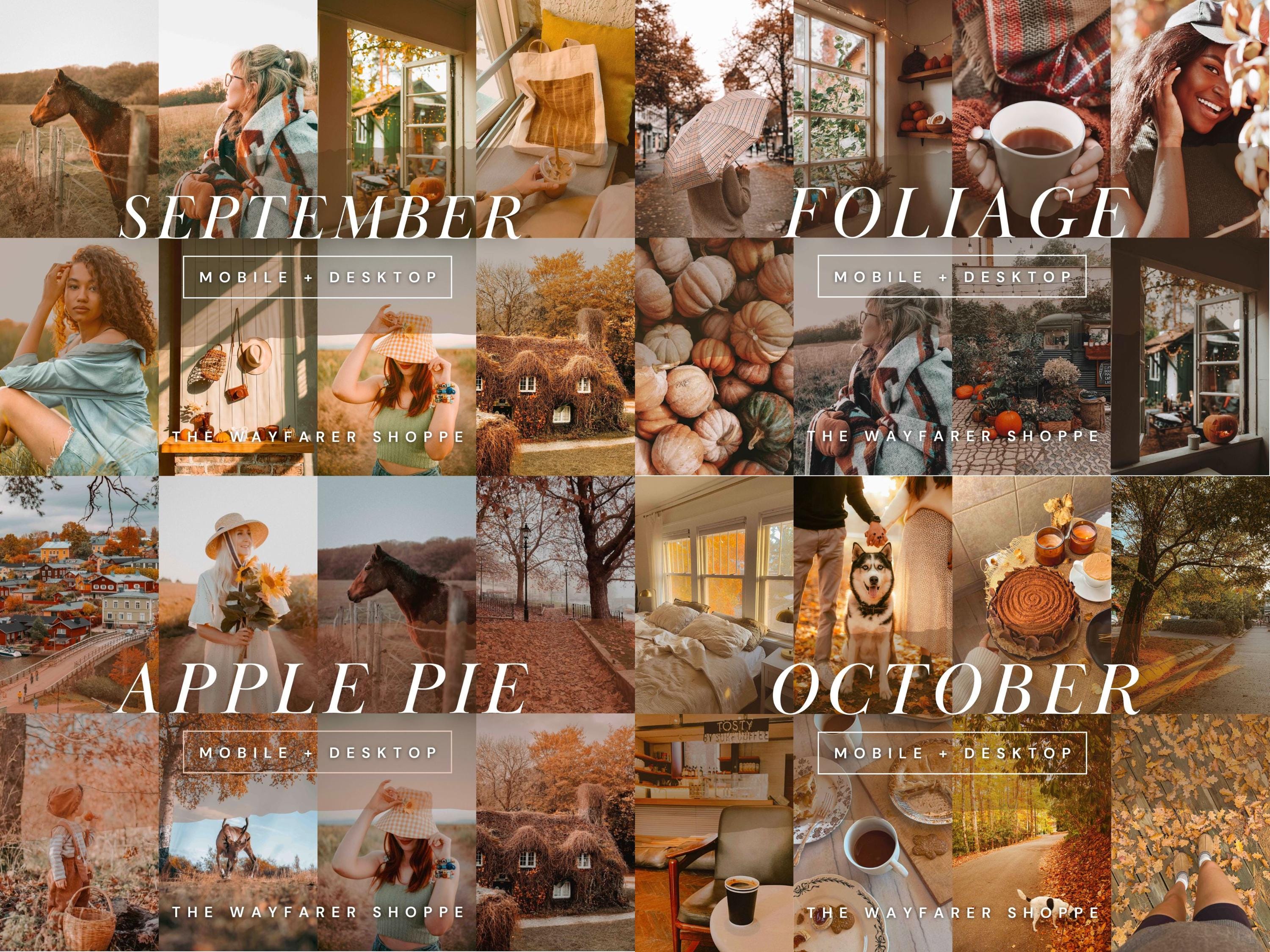 200+ Fall Lightroom Preset Bundle, Warm Autumn Presets Aesthetic Fall ...
