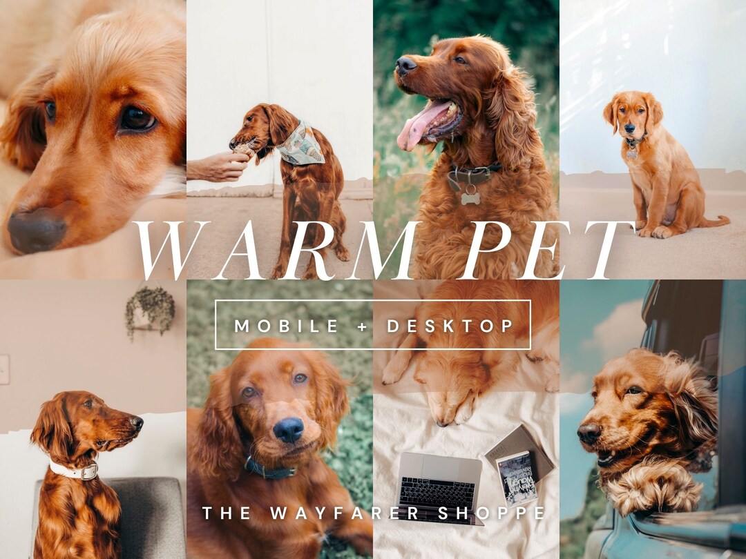 25 Warm Pet Mobile Lightroom Presets, Dog Instagram Filter, Pet Lover ...