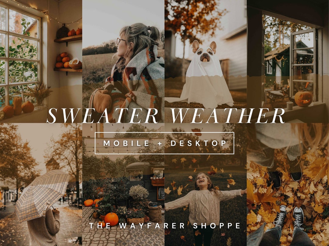15 Moody Fall Presets Warm Fall Photo Editing Filter Rustic Autumn ...