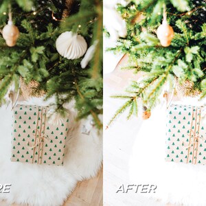25 Lightroom Presets AND Mobile Video Luts Bundle, Christmas Preset ...