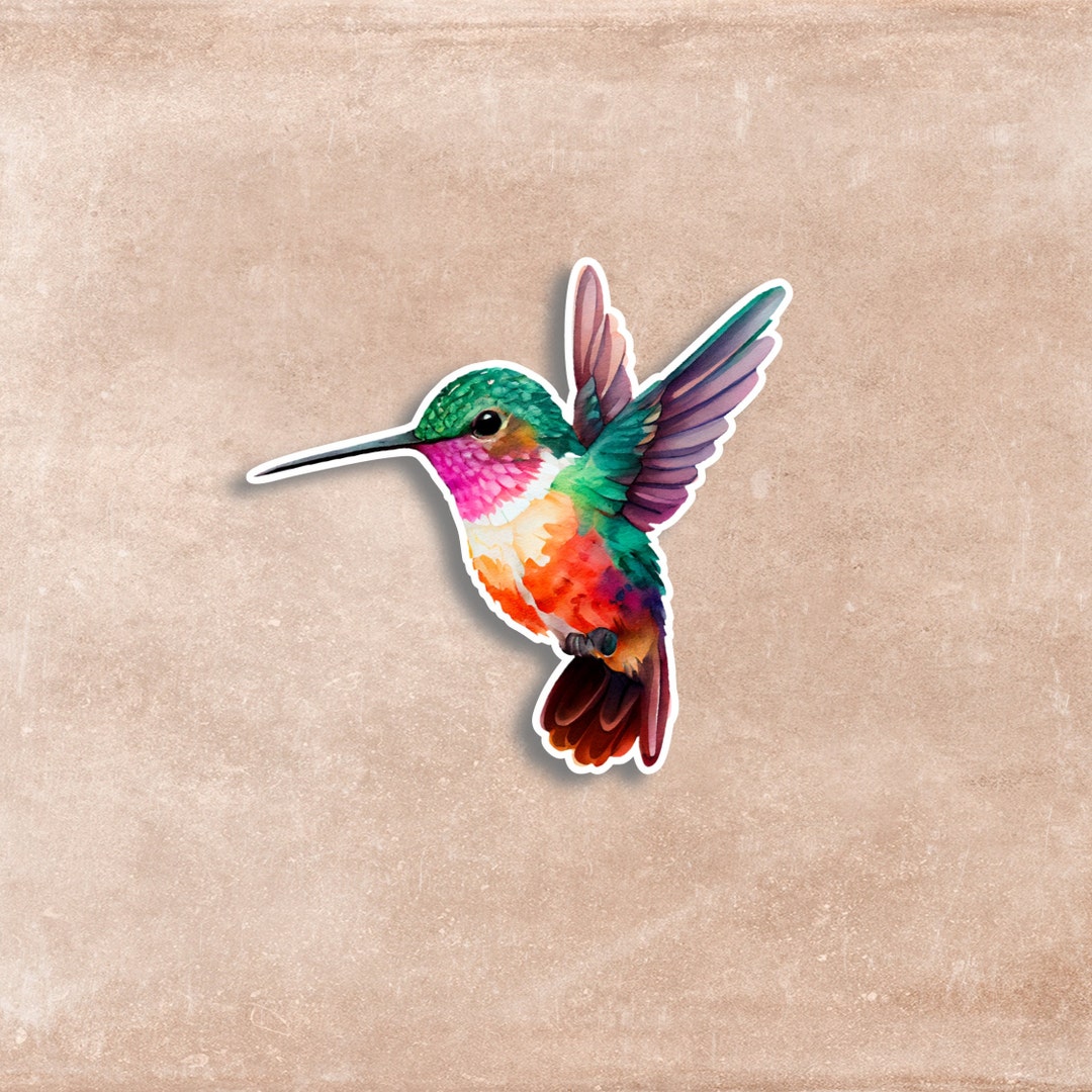 3 Hummingbird Decal, Hummingbird Sticker - Etsy