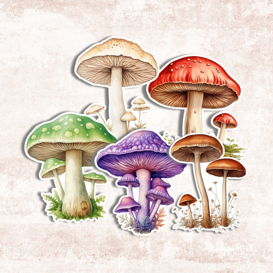 3 Mushroom Sticker Packs, 5 Stickers per Pack - Etsy