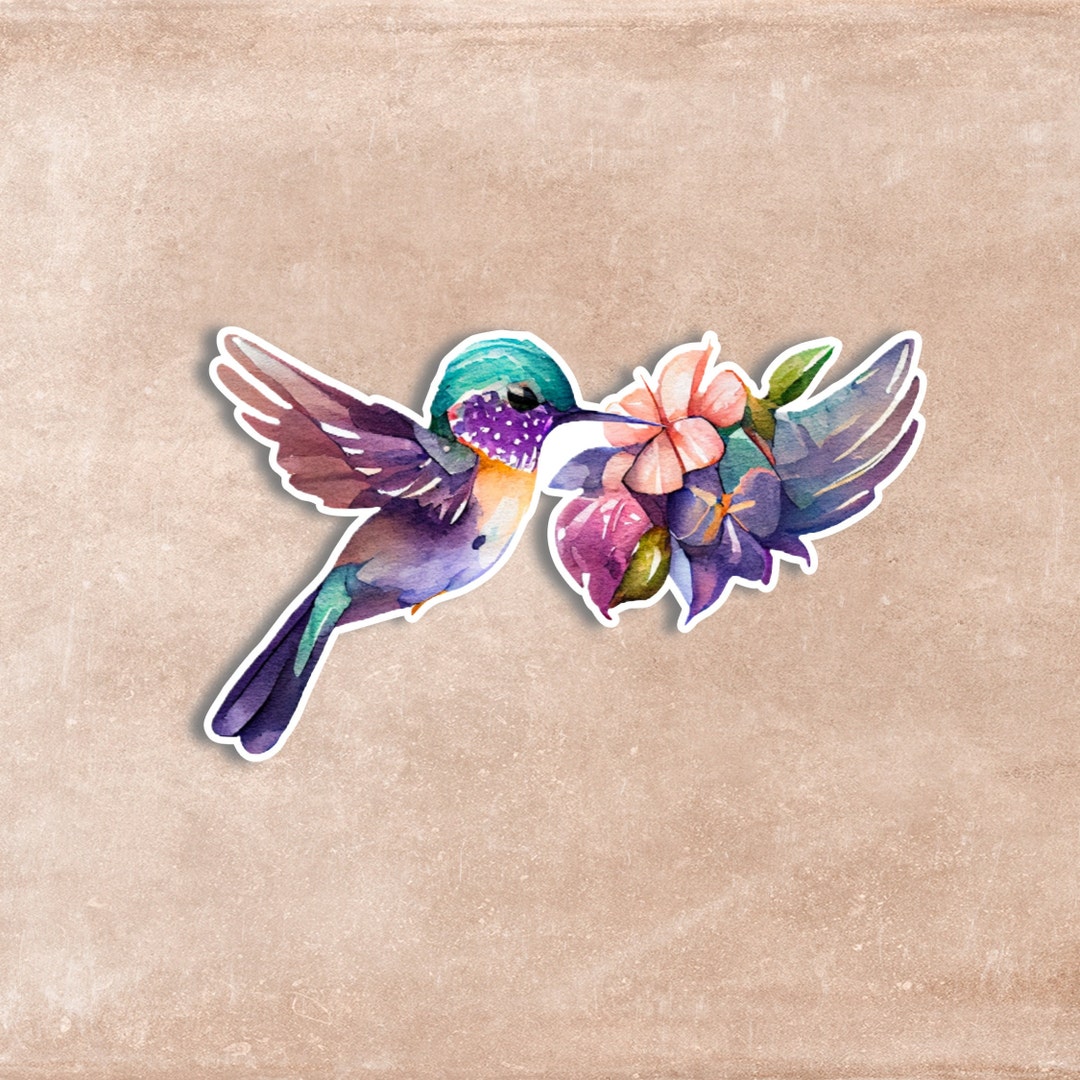 3 Hummingbird Sticker, Hummingbird Decal - Etsy