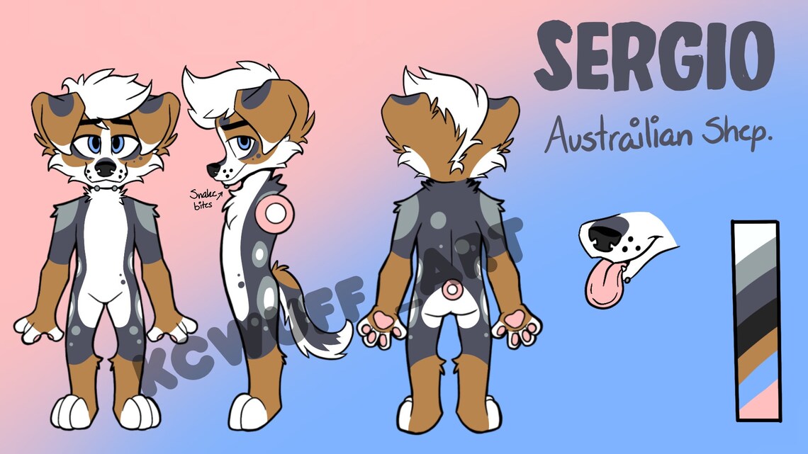 Custom Character Reference Sheet Etsy