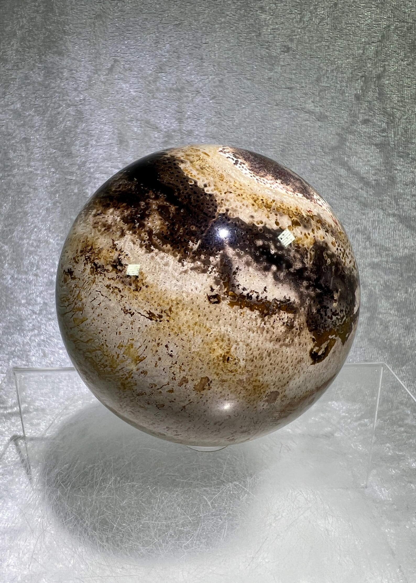 Large Black Palm Root Agate Sphere: Fossilized Crystal Display (80mm ...