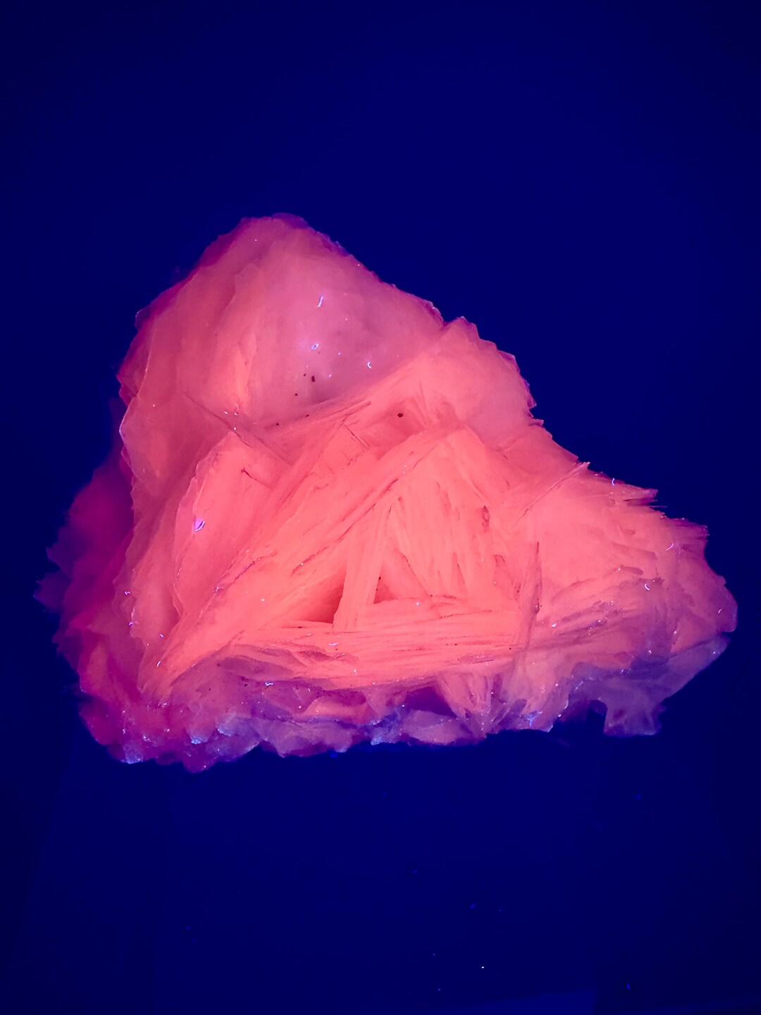 White Rose Calcite Specimen: Beautiful UV Reactive Crystal Angel Wing ...
