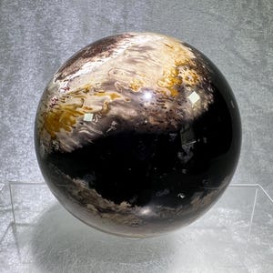 Large Black Palm Root Agate Sphere: Fossilized Crystal Display (80mm ...