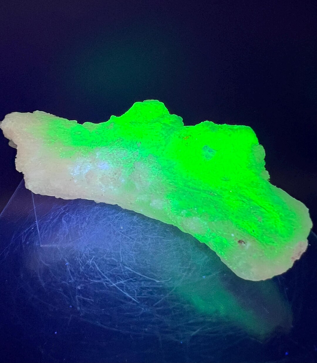 Stunning Rams Horn Selenite Specimen. Incredible Intense UV Reaction ...