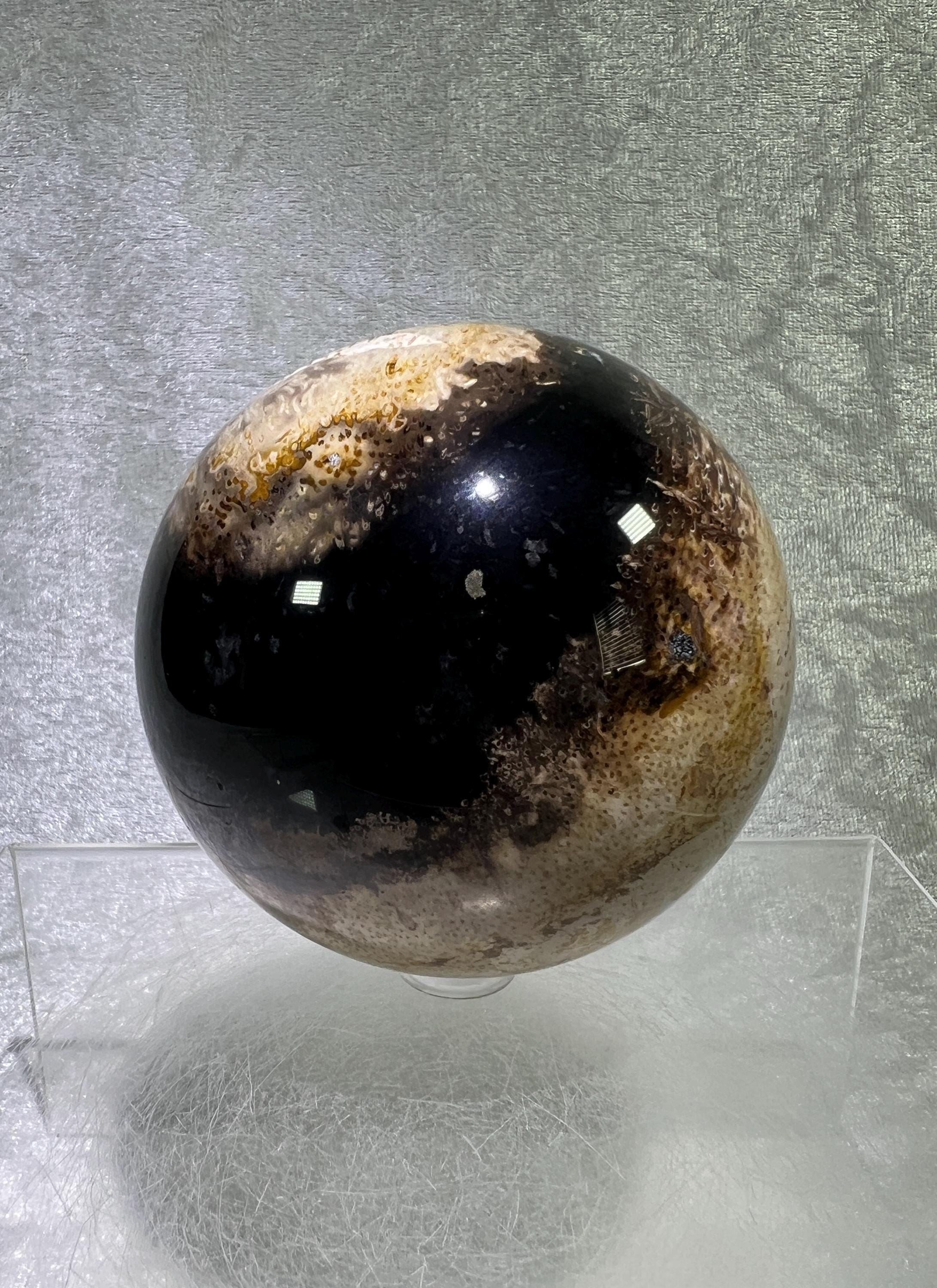 Large Black Palm Root Agate Sphere: Fossilized Crystal Display (80mm ...