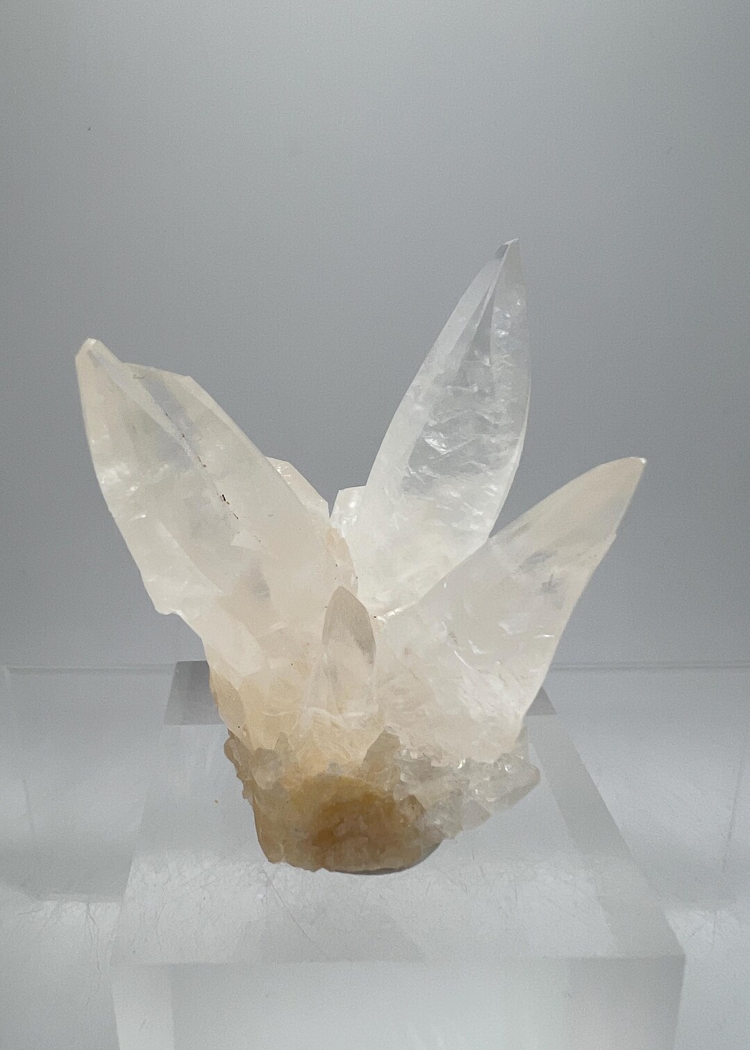 Incredible Sharp Spiked Calcite Cluster. Crazy Dogtooth Calcite ...