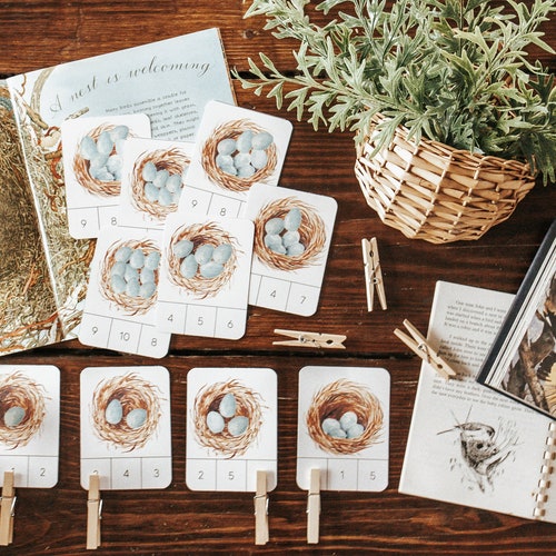 Nest and Eggs Count and Clip Cards Montessori Materials - Etsy