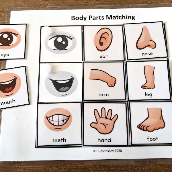 Body Parts Matching - Etsy