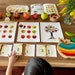 Apple Learning Pack: Montessori Matching & Counting Flashcards (PDF) - Etsy