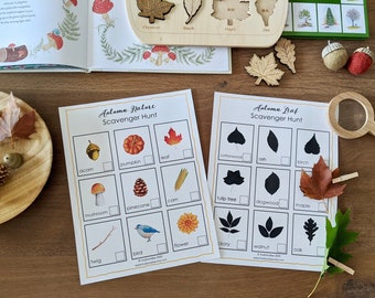Foliage Worksheets - Etsy