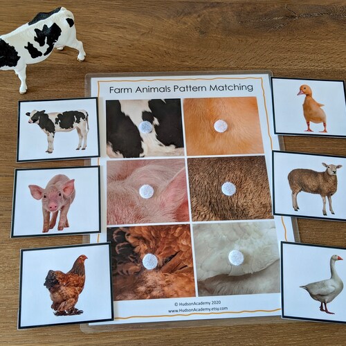 Busy Book Printable Worksheets Set Matching Activities - Etsy