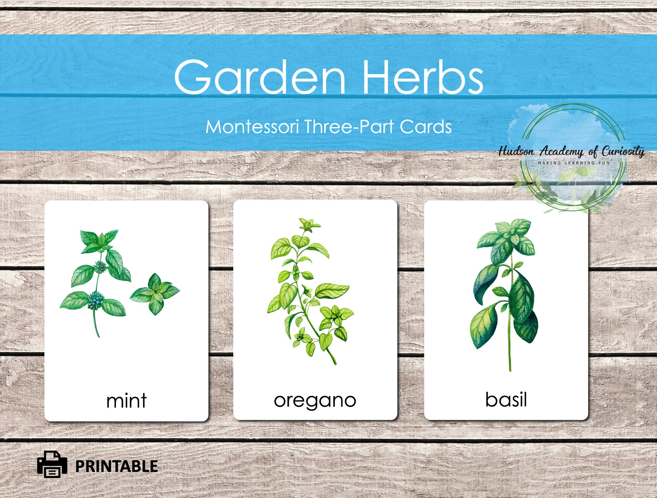 Garden Herb Cards Printable MONTESSORI MATERIALS PRINTABLE | Etsy
