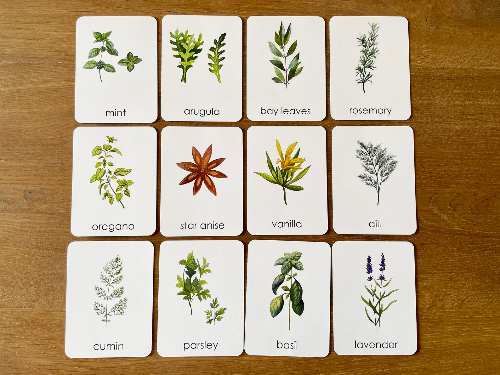 Garden Herb Cards Printable MONTESSORI MATERIALS PRINTABLE - Etsy