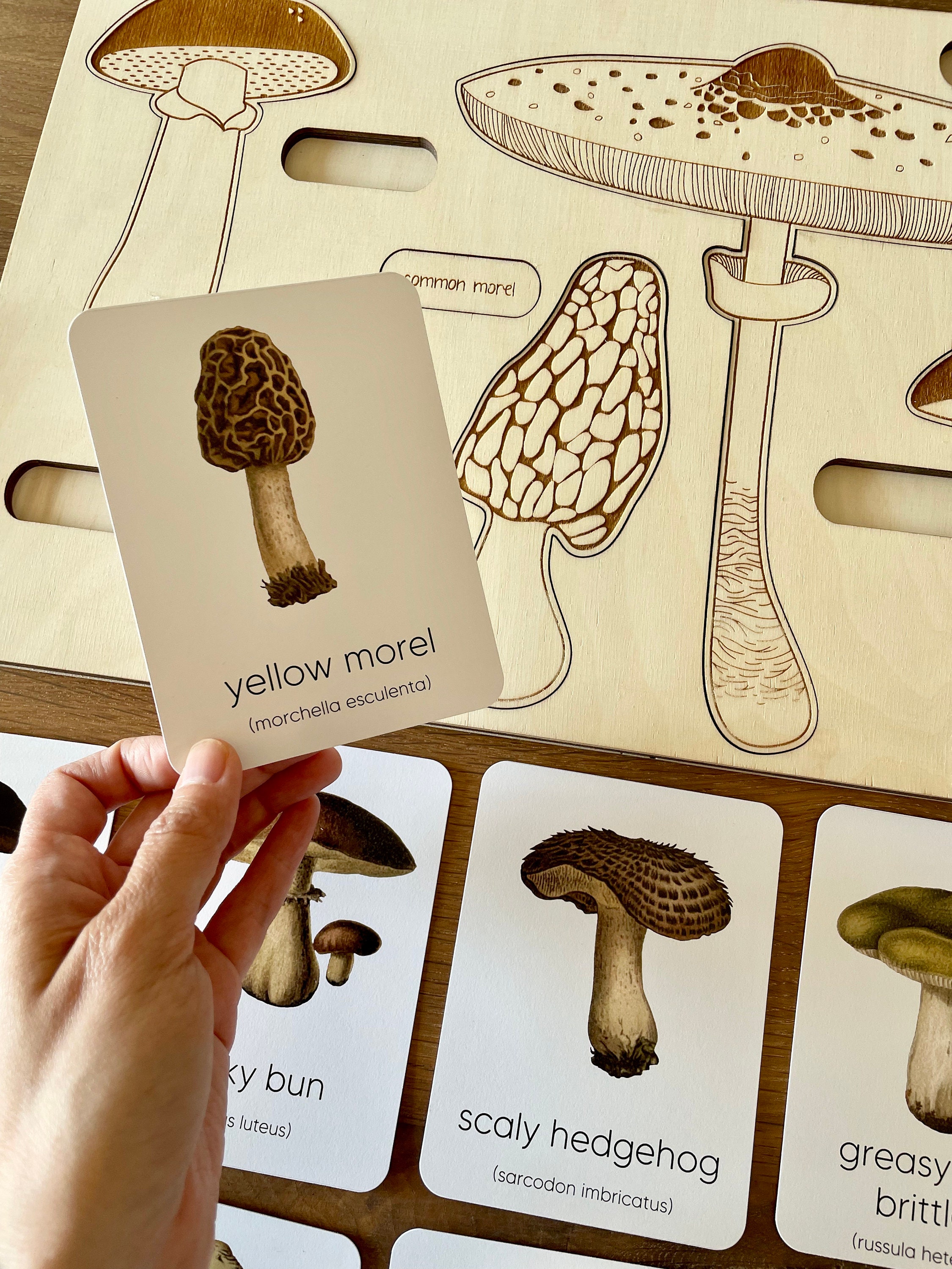Mushroom Montessori Flashcards Montessori Materials - Etsy Canada