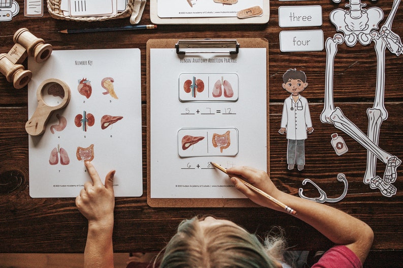 Human Body Math Unit: Anatomy for Kids, Bandaid Math (digital Download ...