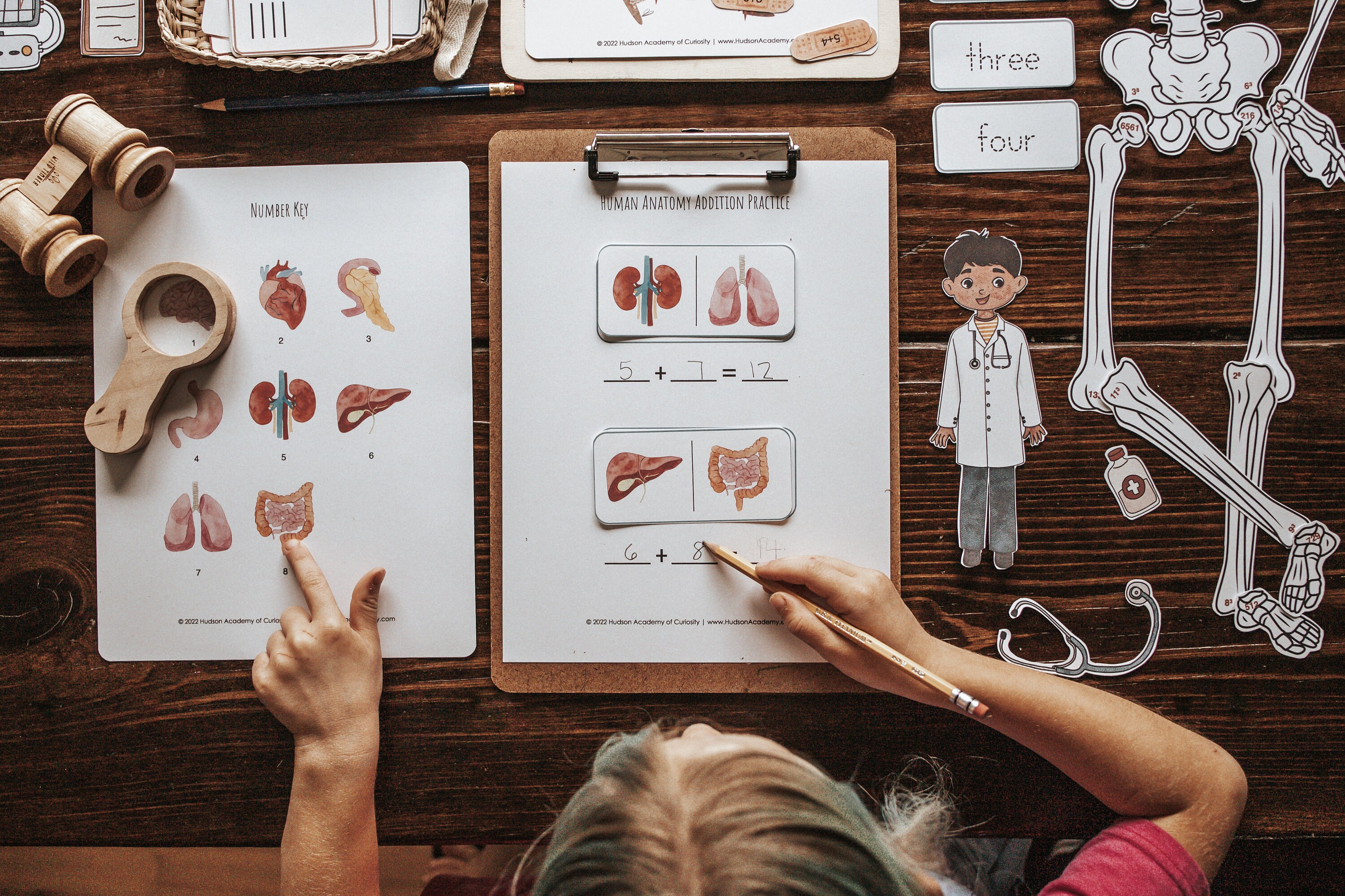 Human Body Math Unit: Anatomy for Kids, Bandaid Math (digital Download ...
