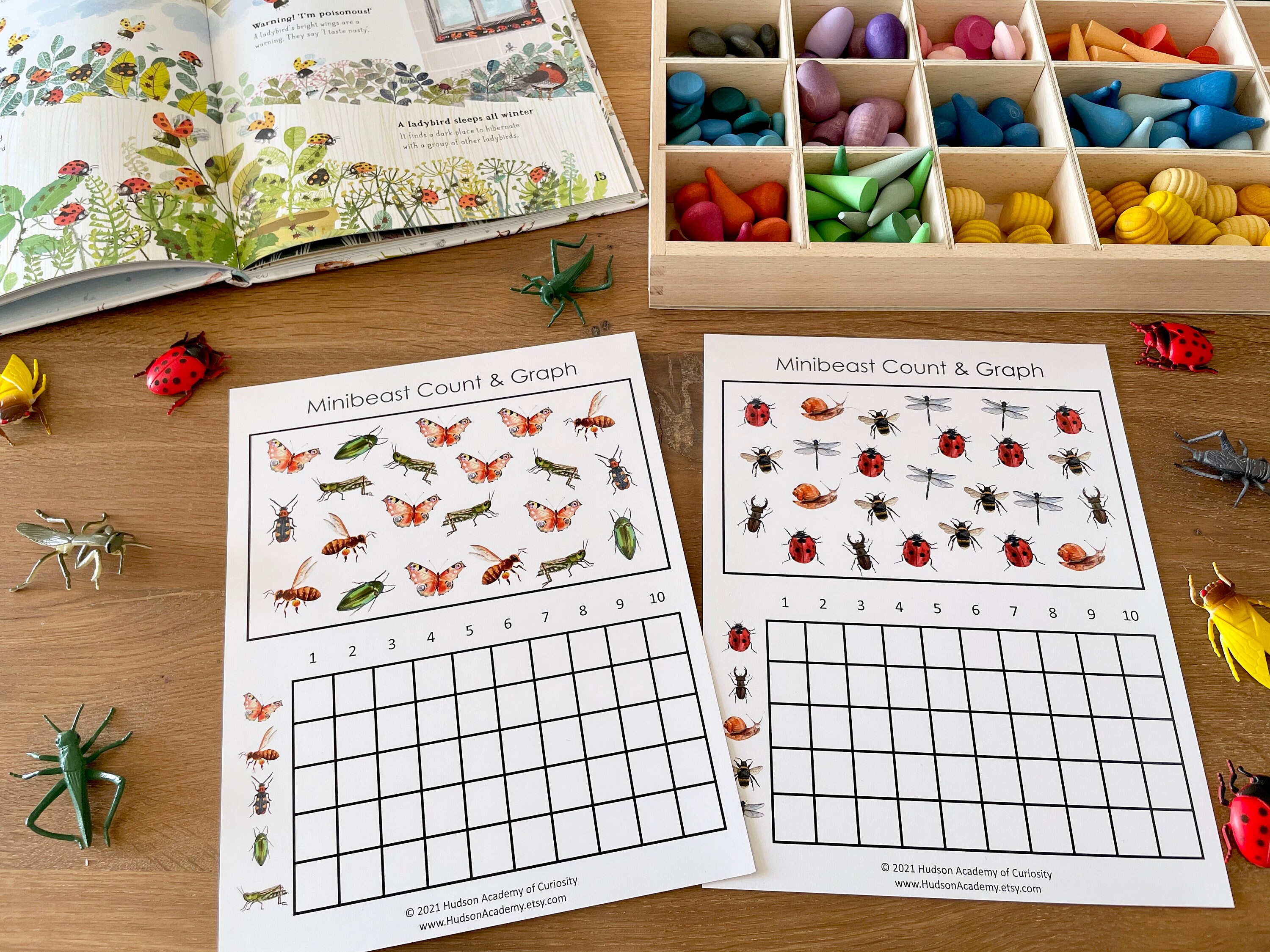 Minibeasts Learning Pack Nature Study Bugs and Insects - Etsy