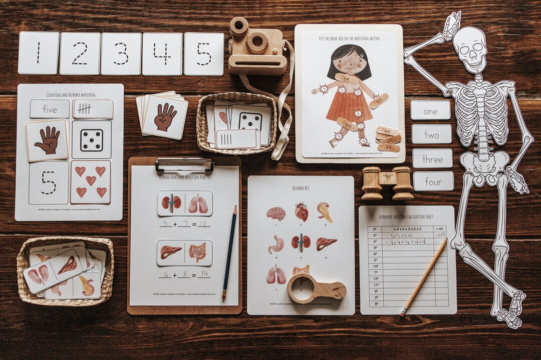 Human Body Math Unit: Anatomy for Kids, Bandaid Math (digital Download ...