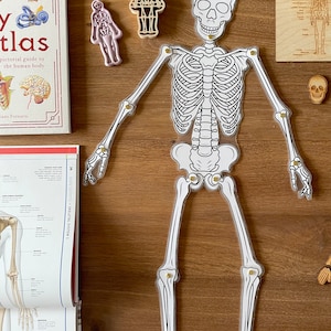Movable Skeleton Printable: Halloween DIY Craft (PDF Download) - Etsy