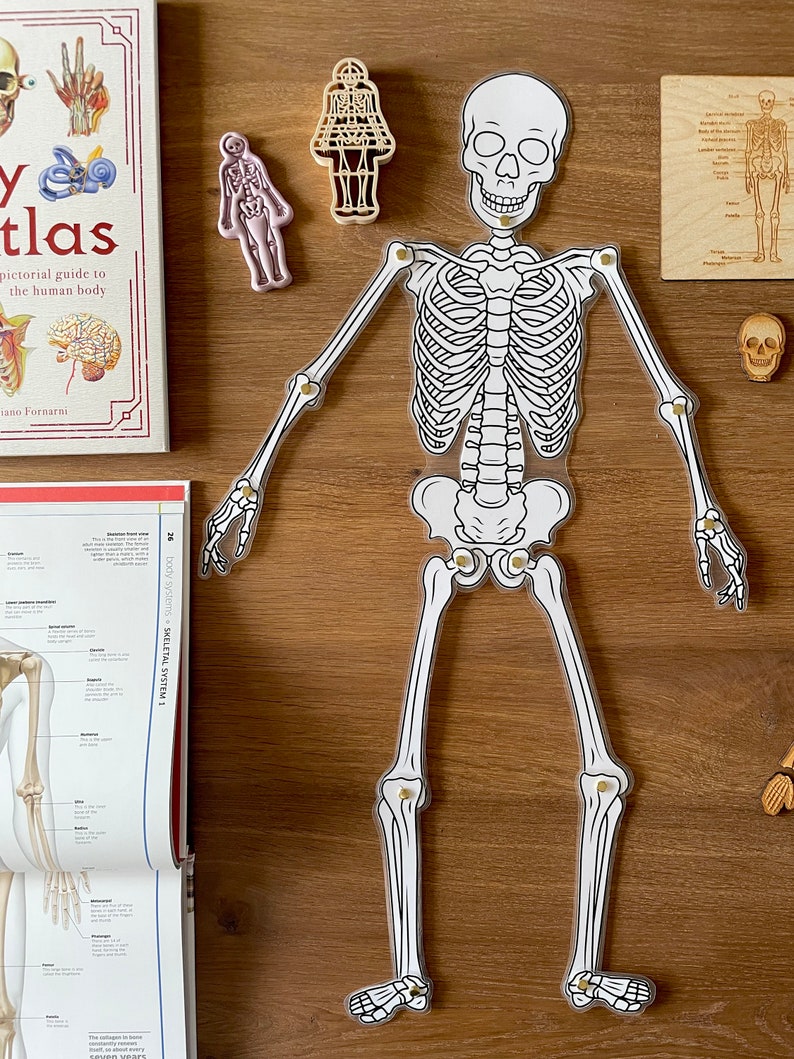 Movable Skeleton Printable: Halloween DIY Craft (PDF Download) - Etsy