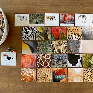 Montessori Animal Pattern Matching Cards: Educational Printable (PDF ...