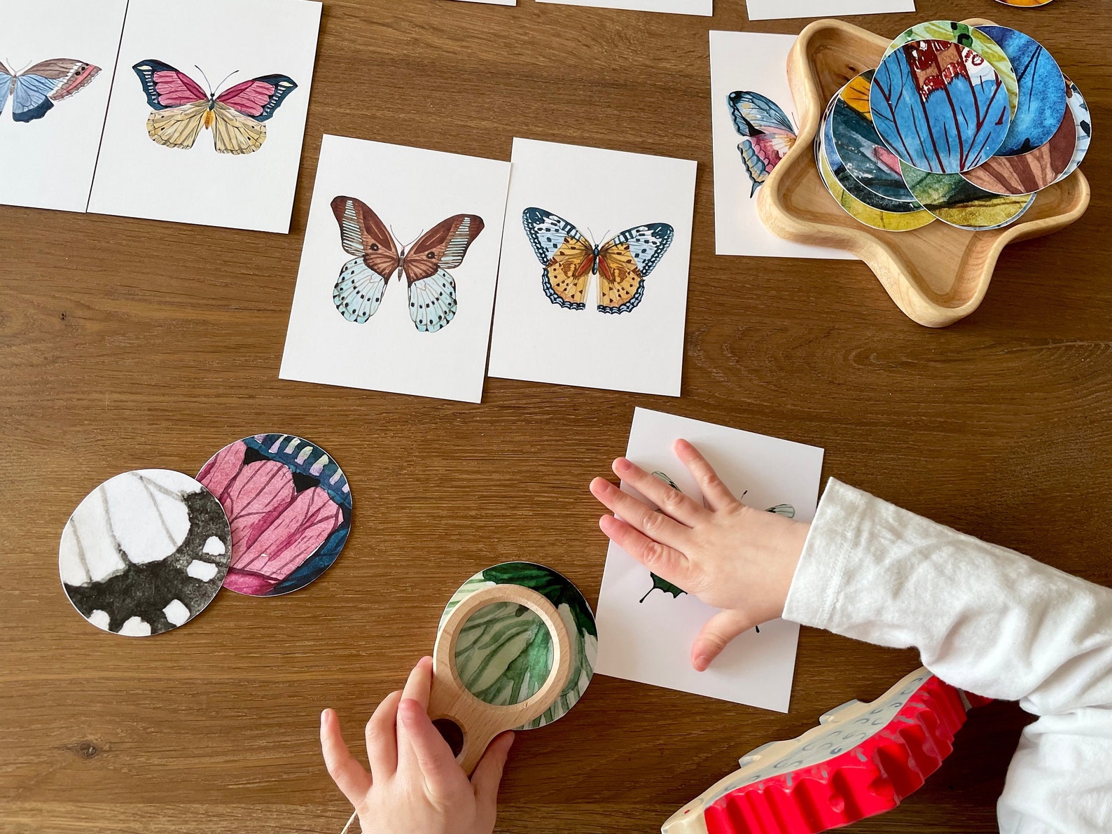 Butterfly Matching Cards, Montessori Materials Printable, Toddler ...