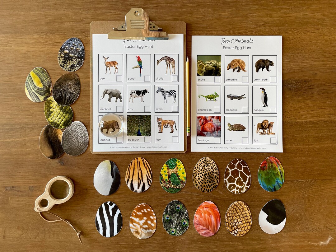 Zoo Animals Easter Egg Hunt: Matching Game (printable PDF) - Etsy
