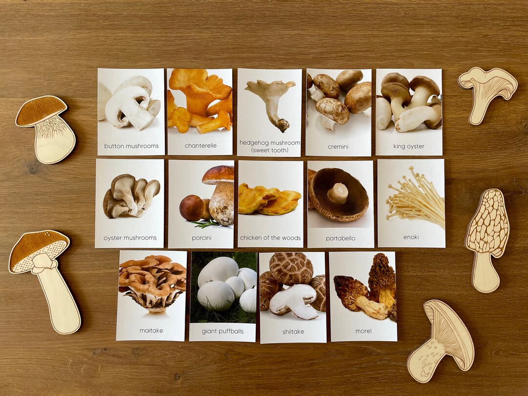 Edible Mushroom Montessori Flashcards, Montessori Materials Printable ...