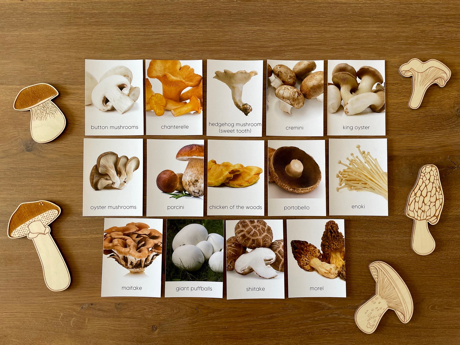 Edible Mushroom Montessori Flashcards: Nature Study Printable (PDF) - Etsy