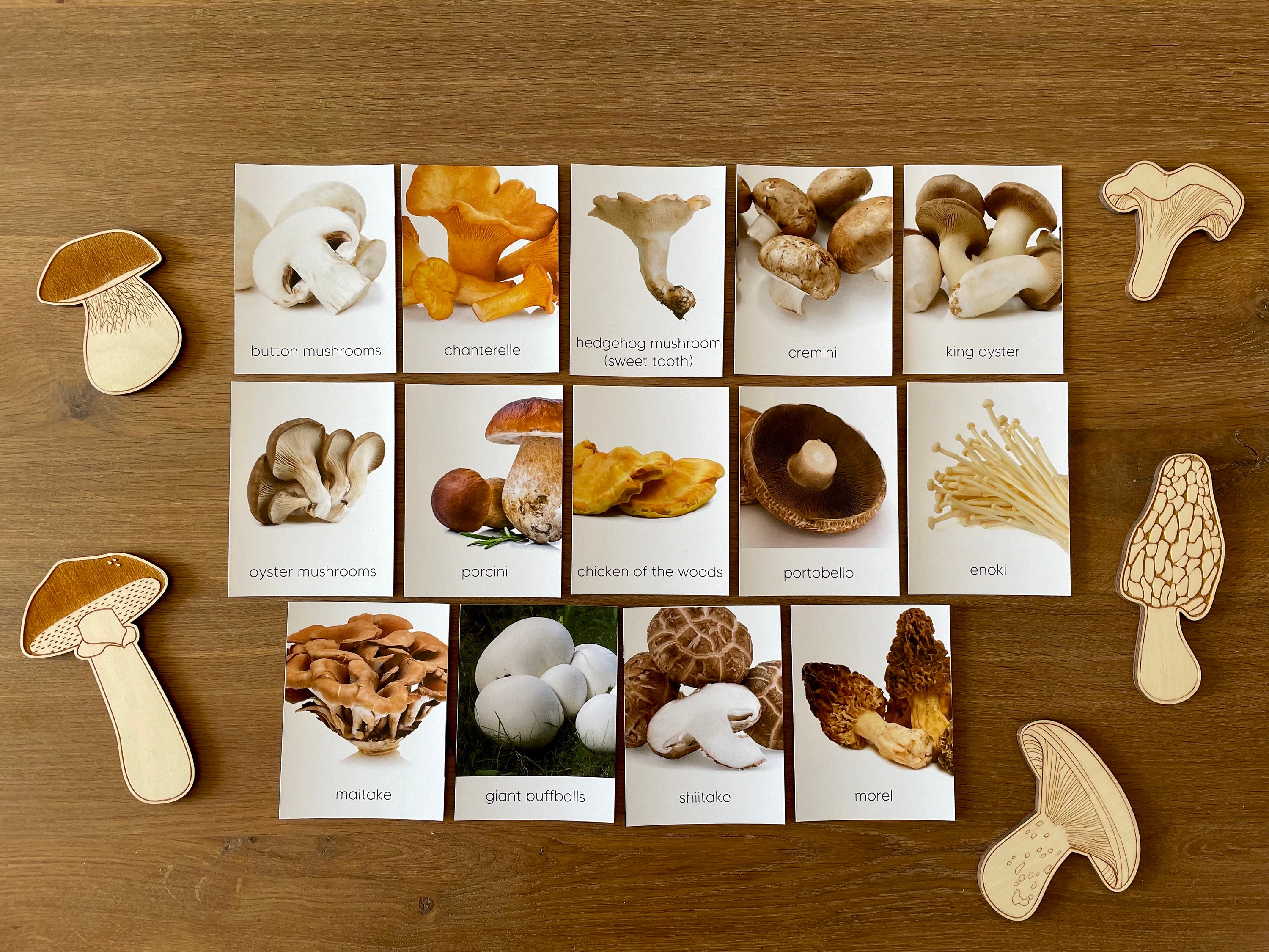 Edible Mushroom Montessori Flashcards Montessori Materials - Etsy
