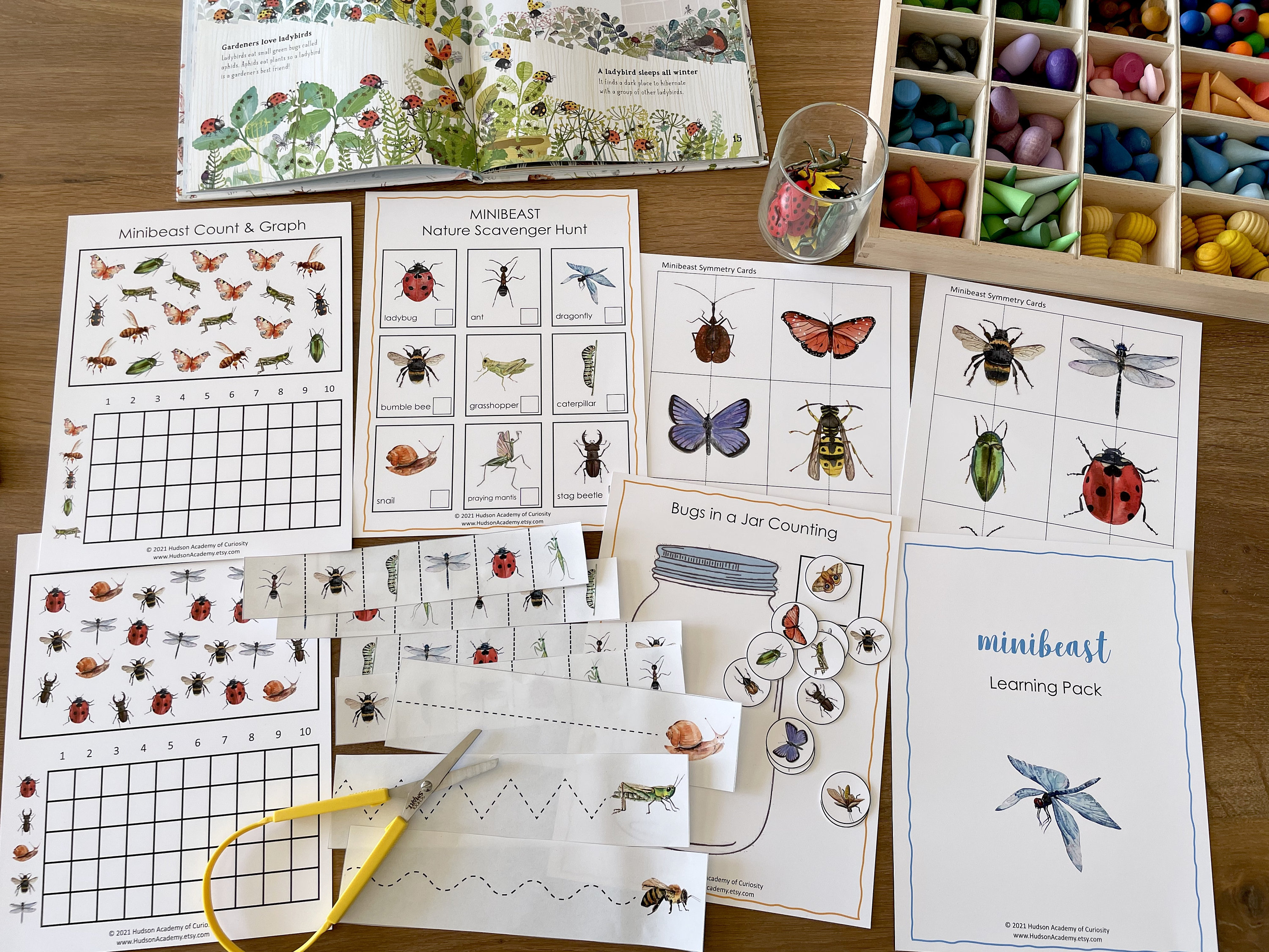 Minibeasts Learning Pack: Nature Study Activity Worksheets (instant ...