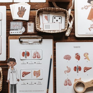 Human Body Math Unit: Anatomy for Kids, Bandaid Math (digital Download ...