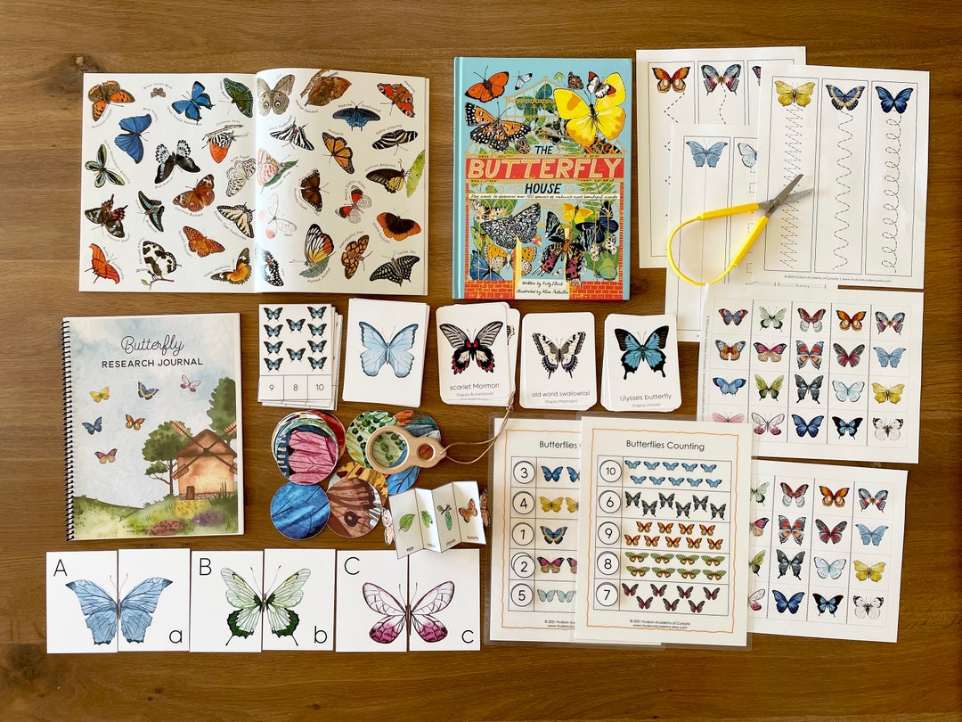 Butterfly Montessori Bundle: Flashcards, Pattern Matching (PDF) - Etsy