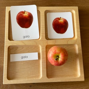 Apple Learning Pack: Montessori Matching & Counting Flashcards (PDF) - Etsy